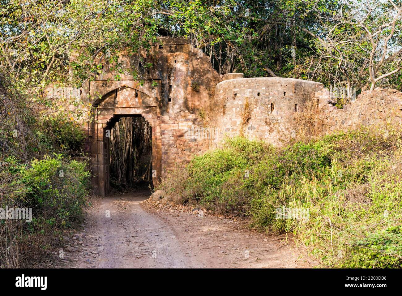 Ranthambhore fort, Ranthambhore National Park, Rajasthan, India Stock ...