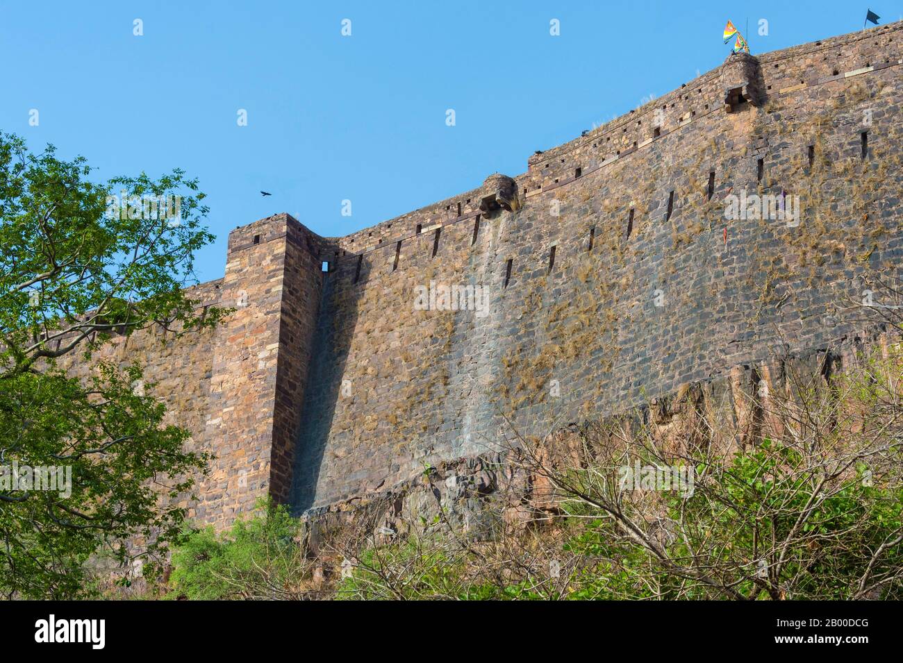 National park of india hi-res stock photography and images - Alamy