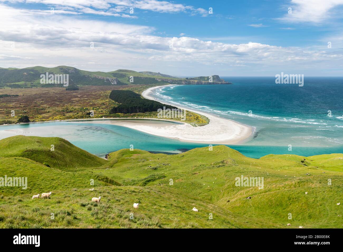 View of Victory Beach and Wickliffe Bay, Otago Peninsula, Dunedin ...