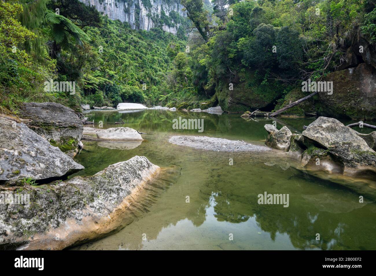 Pororari river hi-res stock photography and images - Alamy
