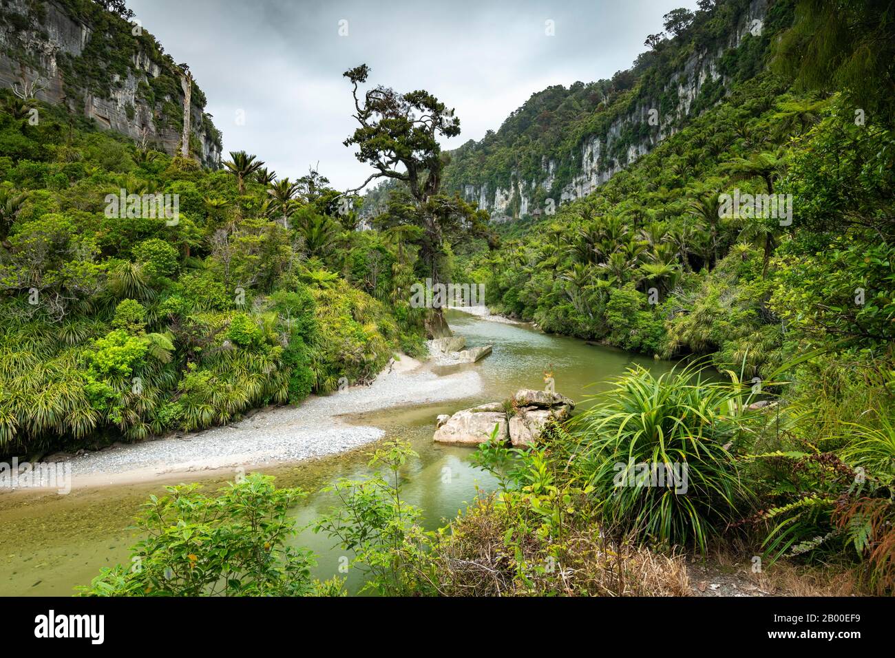 Pororari river track hi-res stock photography and images - Alamy