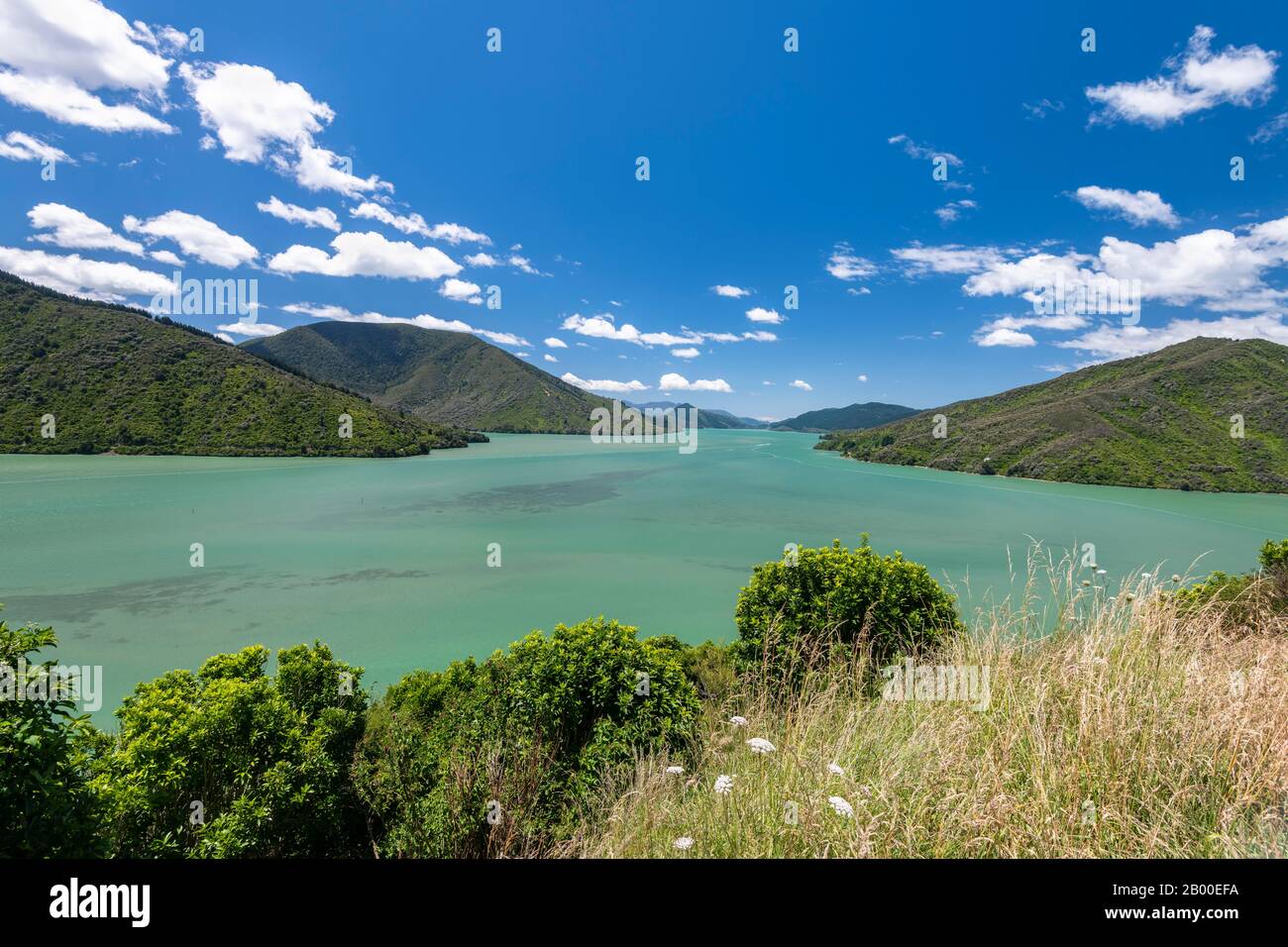 View from Cullen Point Lookout to Mahua Sound, Havelock, Marlborough ...