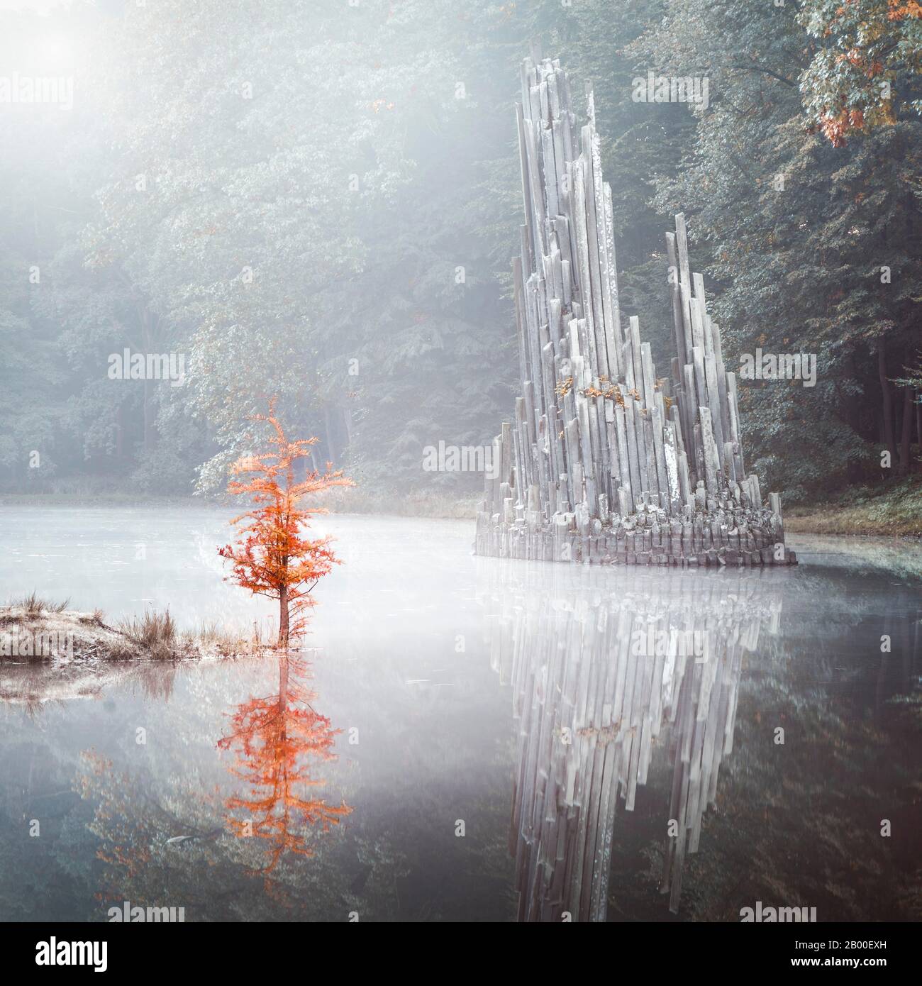 Rhododendron park kromlau hi-res stock photography and images - Alamy