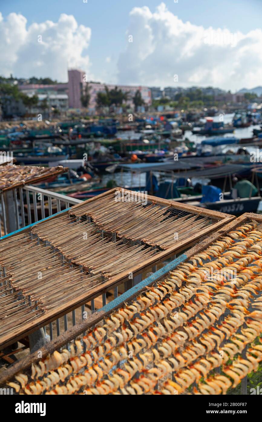 Shrimp drying in the sun, Cheung Chau, Hong Kong Stock Photo - Alamy
