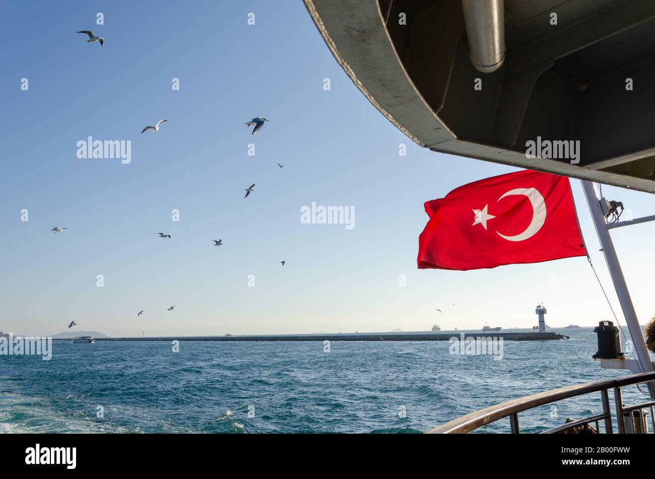 Turkish birds hi-res stock photography and images - Alamy