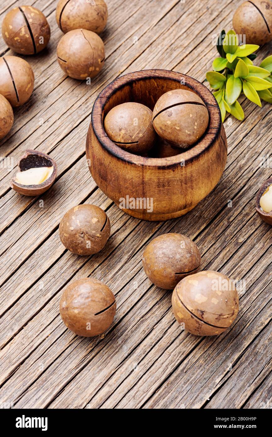 Shell nutshell hi-res stock photography and images - Alamy