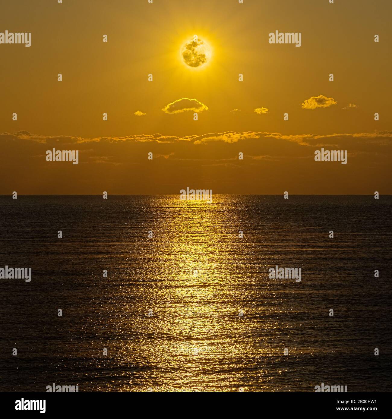 Ocean Horizon Night