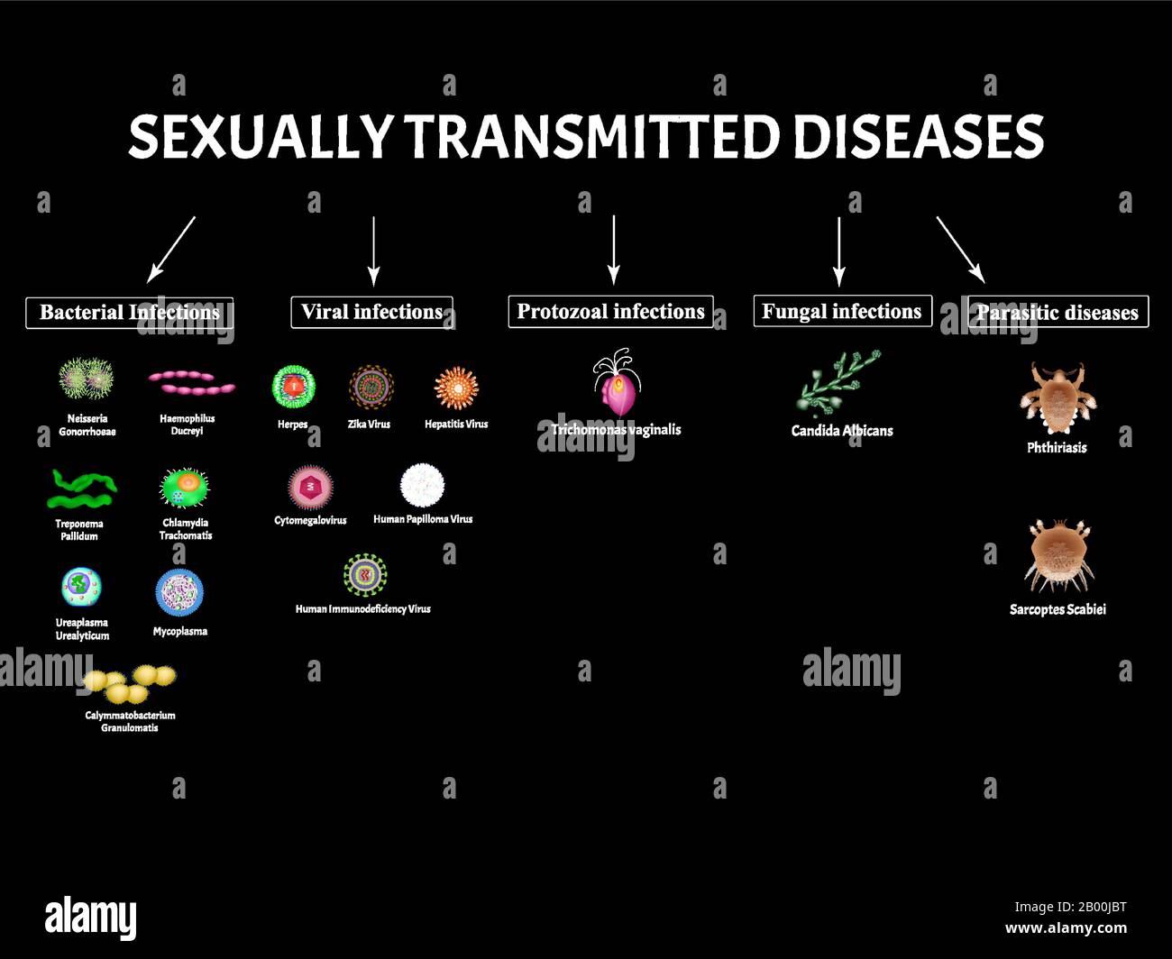 HIV, herpes, papilloma, hepatitis, cytomegalovirus, Zika. Set viral ...