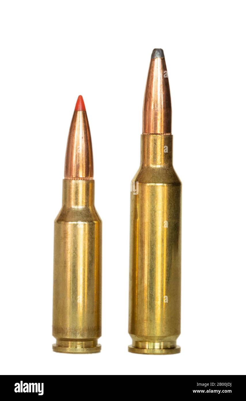 Different length rifle cartridges of the same bore isolated on white ...
