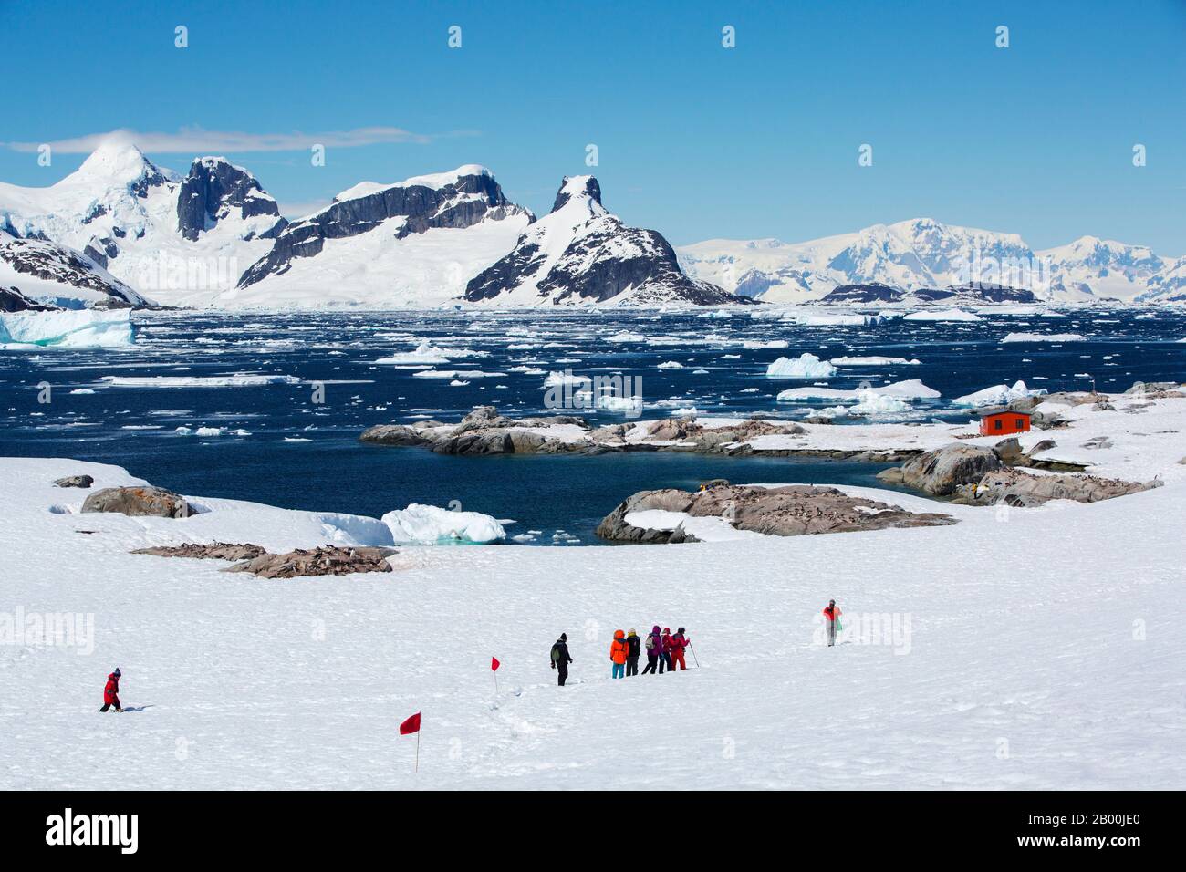 Peterman hi-res stock photography and images - Alamy