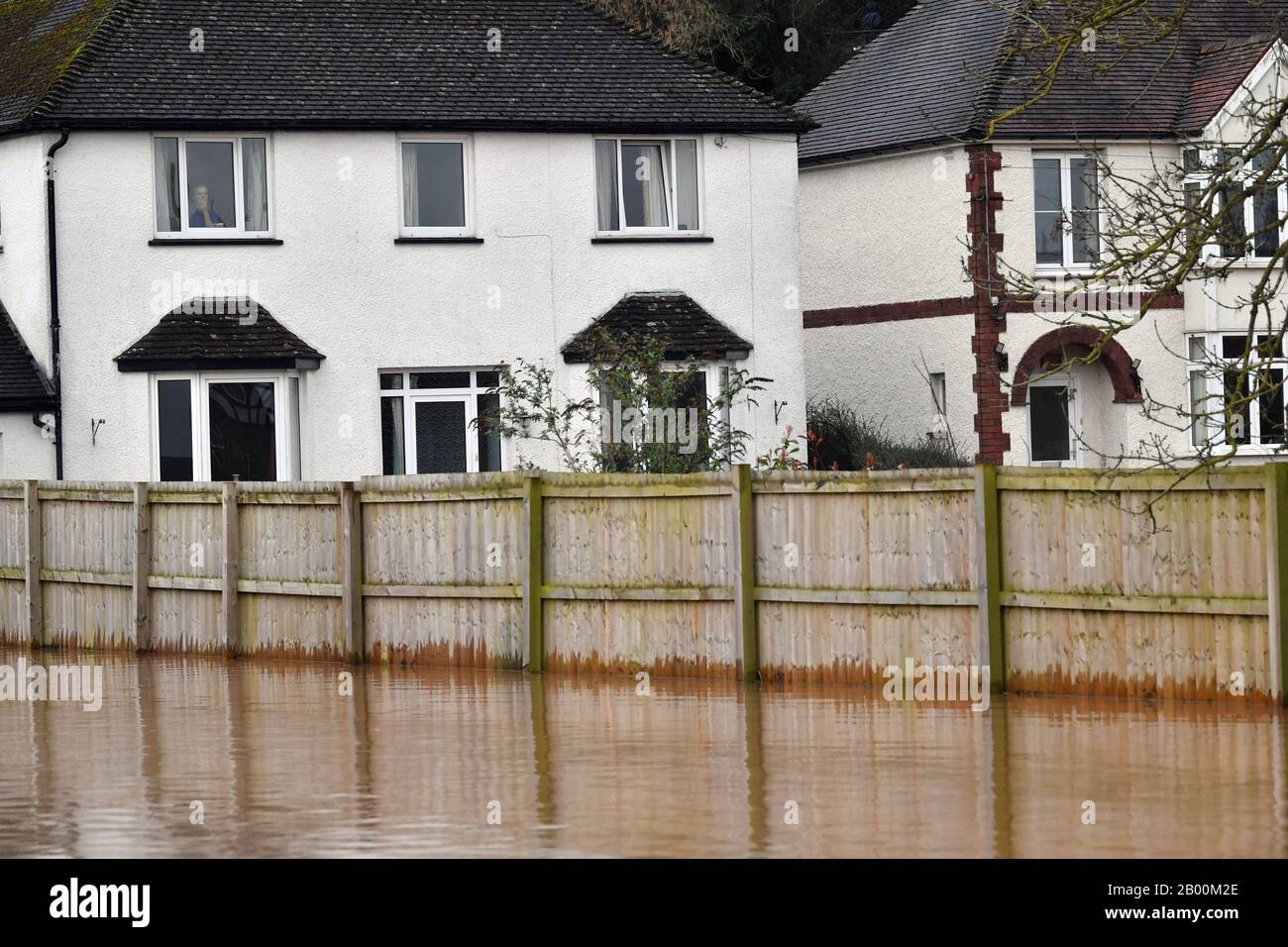 Man Looks From The Window High Resolution Stock Photography and Images ...