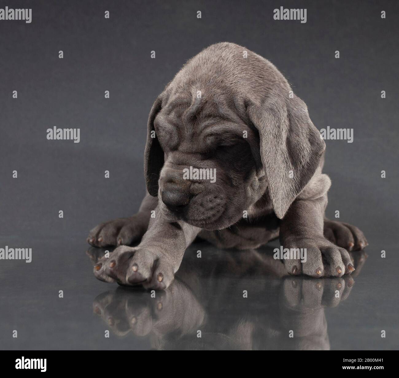 Inspecting nails hi-res stock photography and images - Alamy