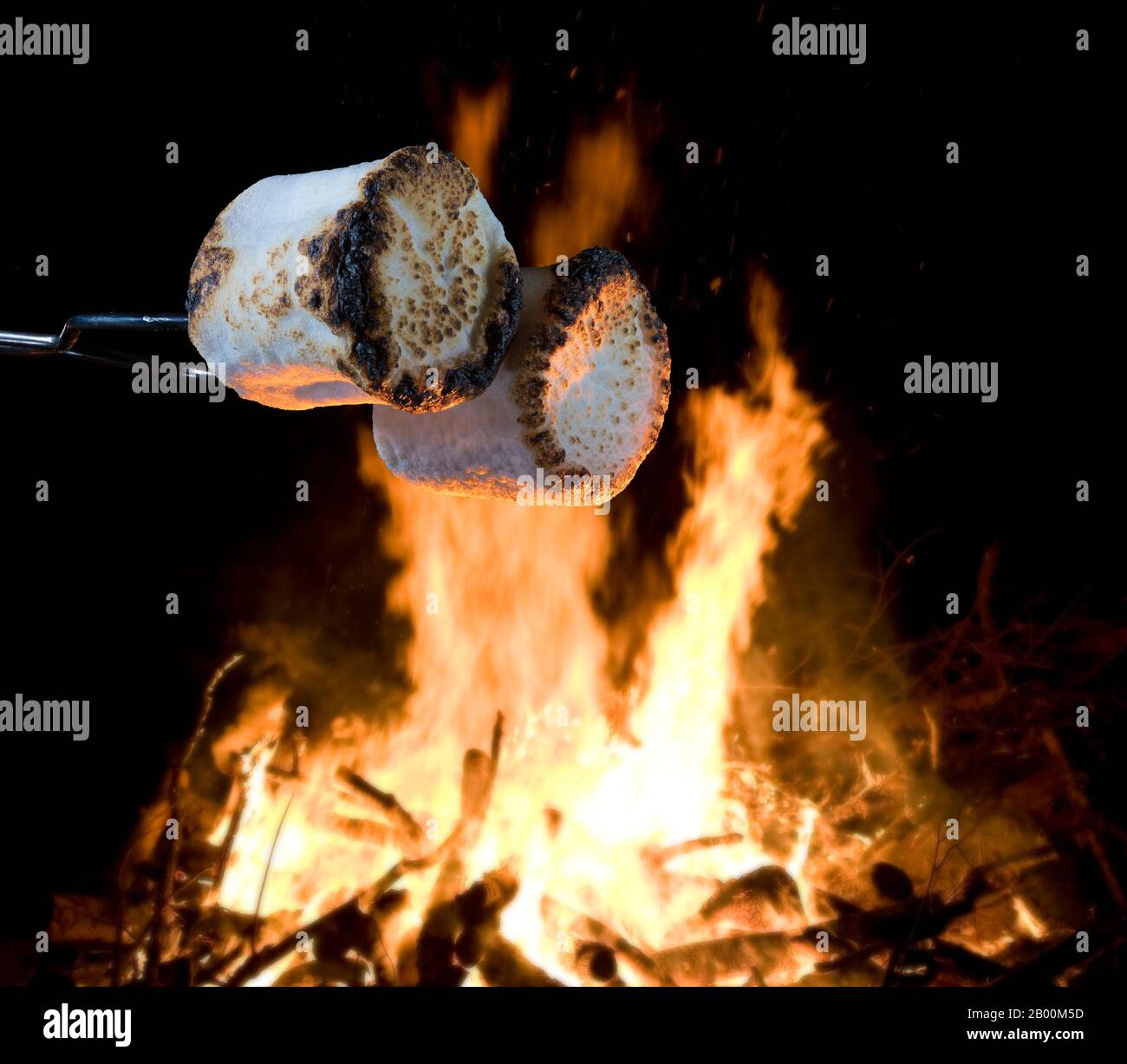 Two marshmallows being roasted over a campfire to make smores Stock ...