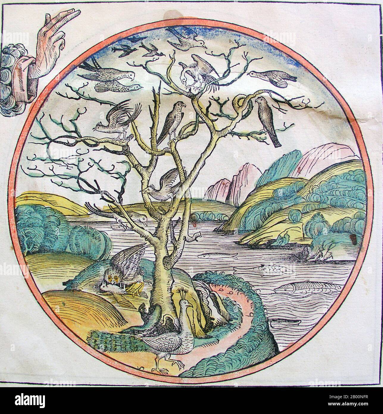 History of creation hi-res stock photography and images - Alamy