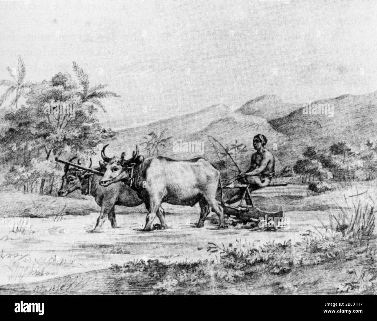 Farmer sketch hi-res stock photography and images - Alamy