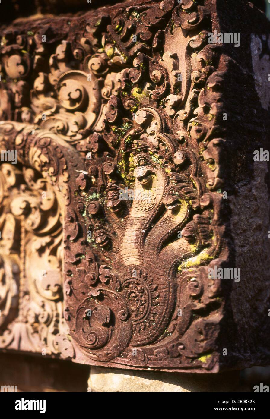 Naga shiva hi-res stock photography and images - Alamy