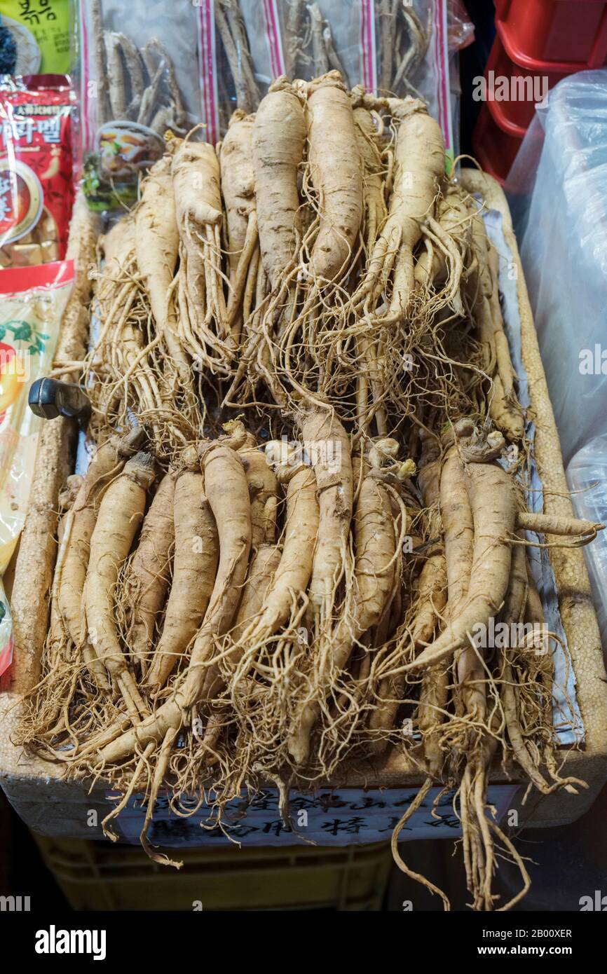 South Korea, Seoul: ginseng at Gwangjang Market Stock Photo - Alamy