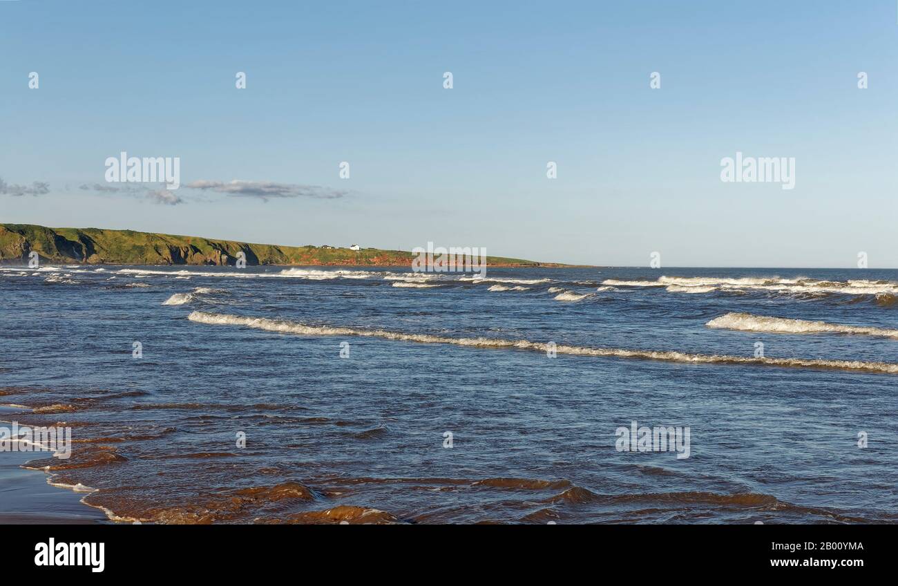 The headland and Cliffs at the North end of St Cyrus Beach on a Summers ...