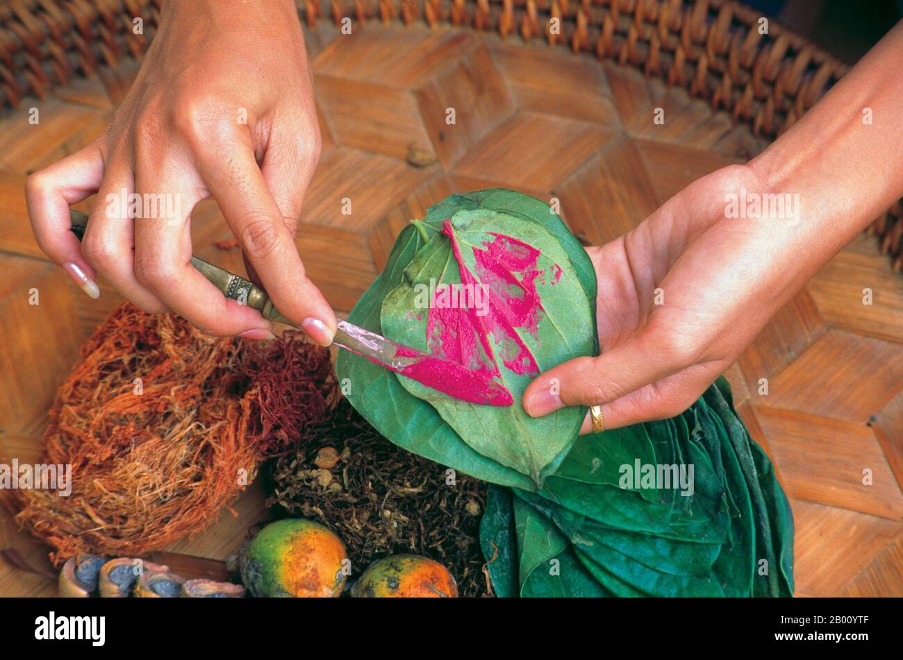Betel tree hi-res stock photography and images - Alamy