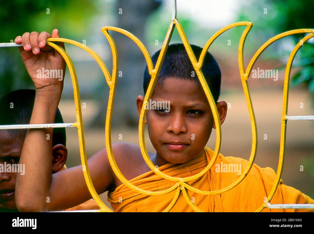 Sri Lanka: Novice monk at Anuradhapura. Anuradhapura is one of Sri ...