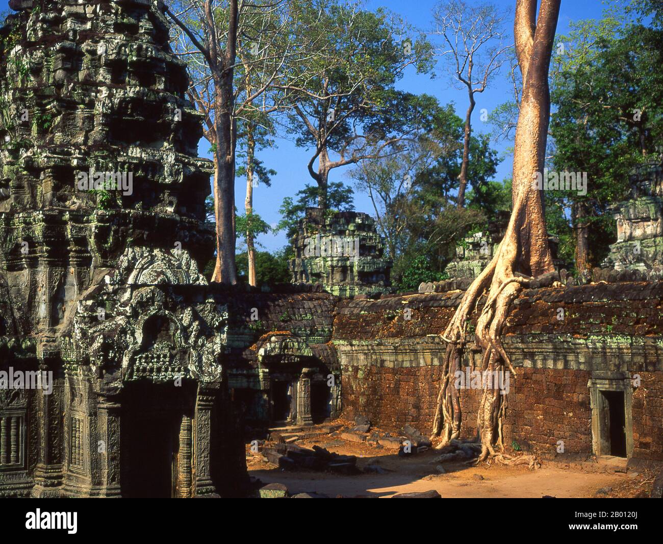 Cambodia: Ta Prohm with its famous trees growing over the ruins, Angkor ...