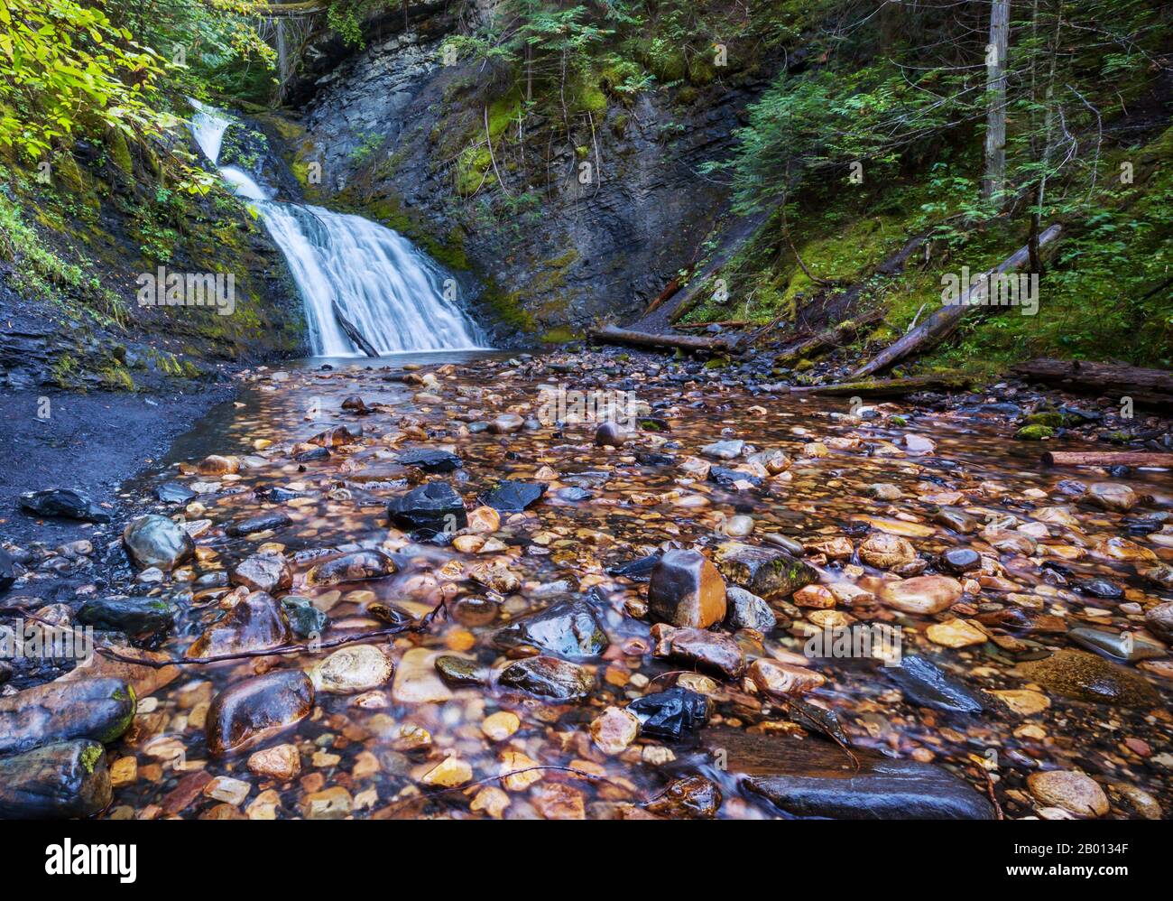 Waterfall in the beautiful green forest Stock Photo - Alamy