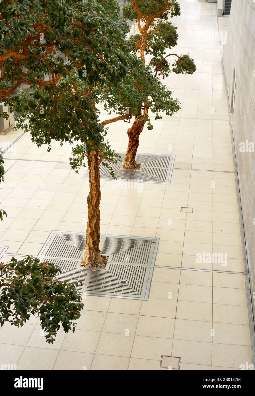 Inside interior lobby vertical garden hi-res stock photography and ...