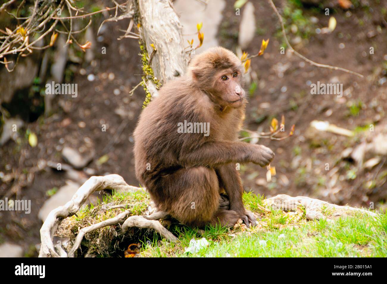 2500 meters hi-res stock photography and images - Alamy