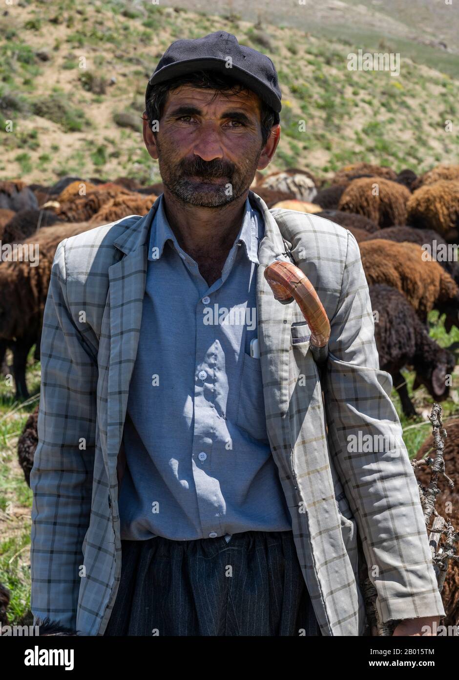 Sheperd and herd of sheep at Baba Nazar in Iran during springtime with ...