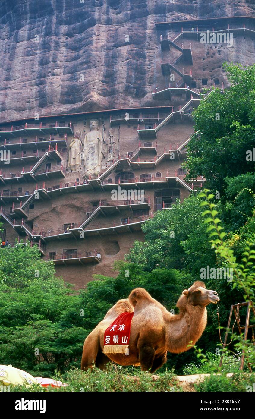 China: A camel awaits tourists, Maiji Shan Grottoes, Tianshui, Gansu ...