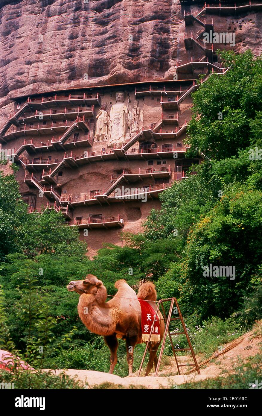 China: A camel awaits tourists, Maiji Shan Grottoes, Tianshui, Gansu ...