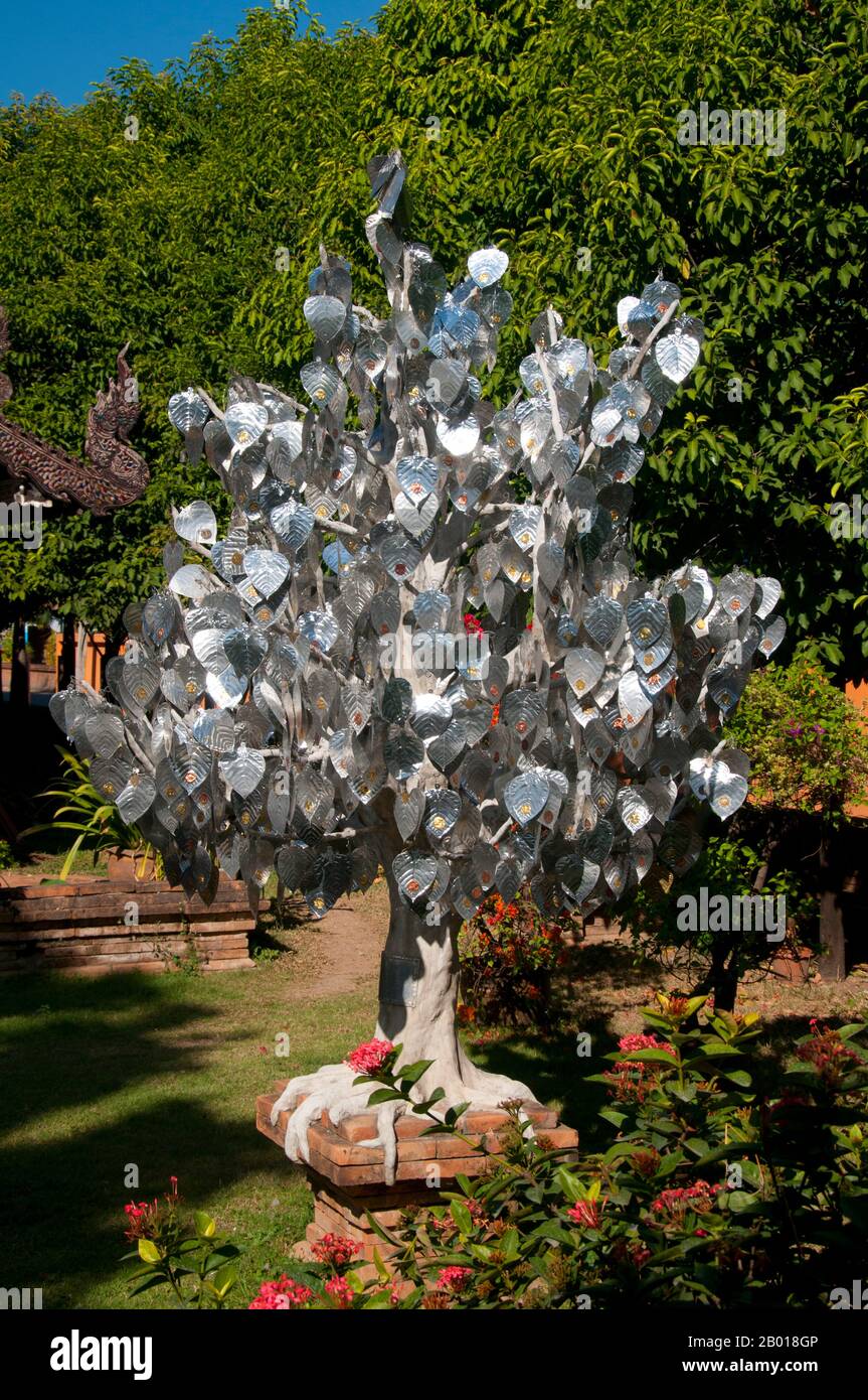 Silver tree hi-res stock photography and images - Alamy