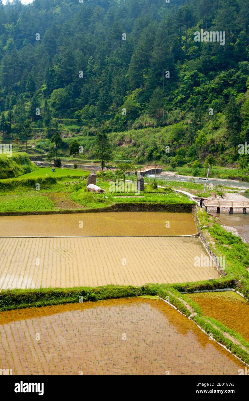 Chinese rice fields sichuan hi-res stock photography and images - Alamy
