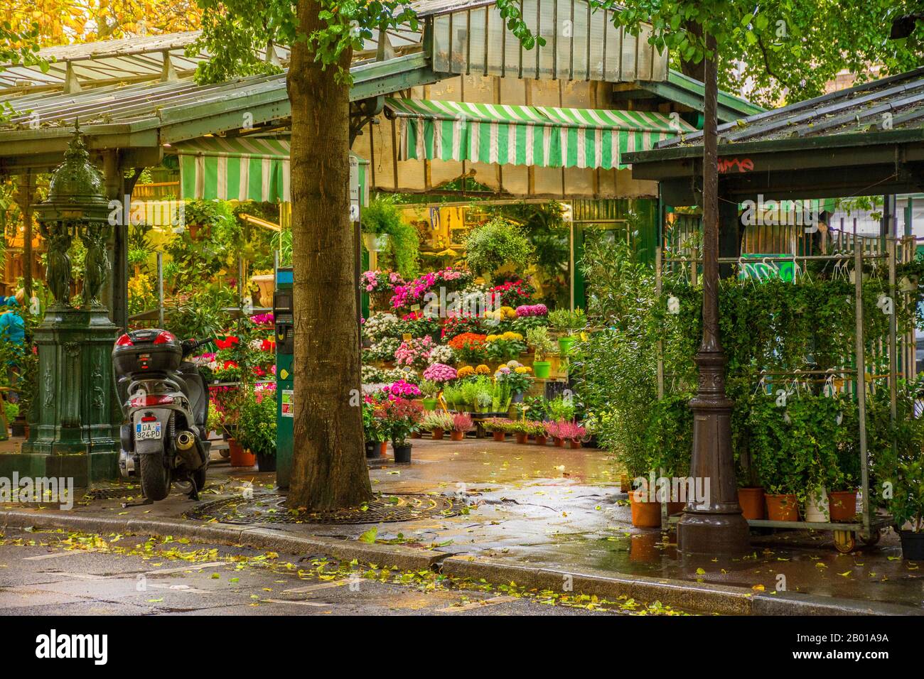 Typical flower stall hi-res stock photography and images - Alamy