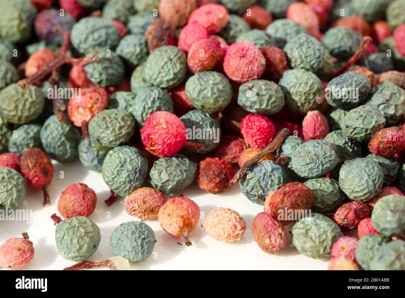 Pistacia terebinthus, Fruits of Terebinth Stock Photo - Alamy
