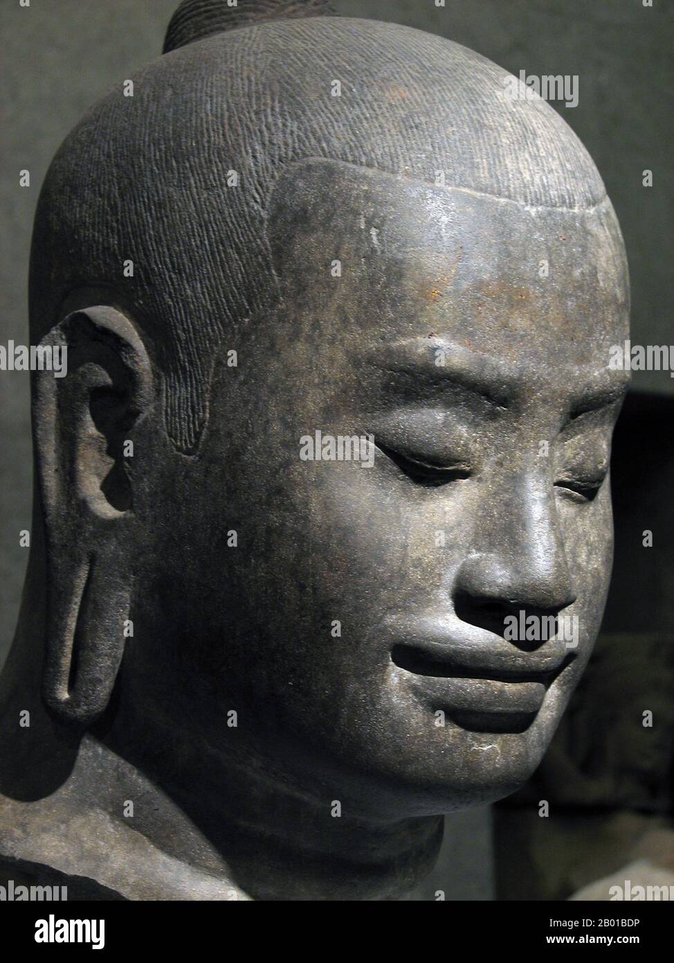 Vladimir renard hi-res stock photography and images - Alamy