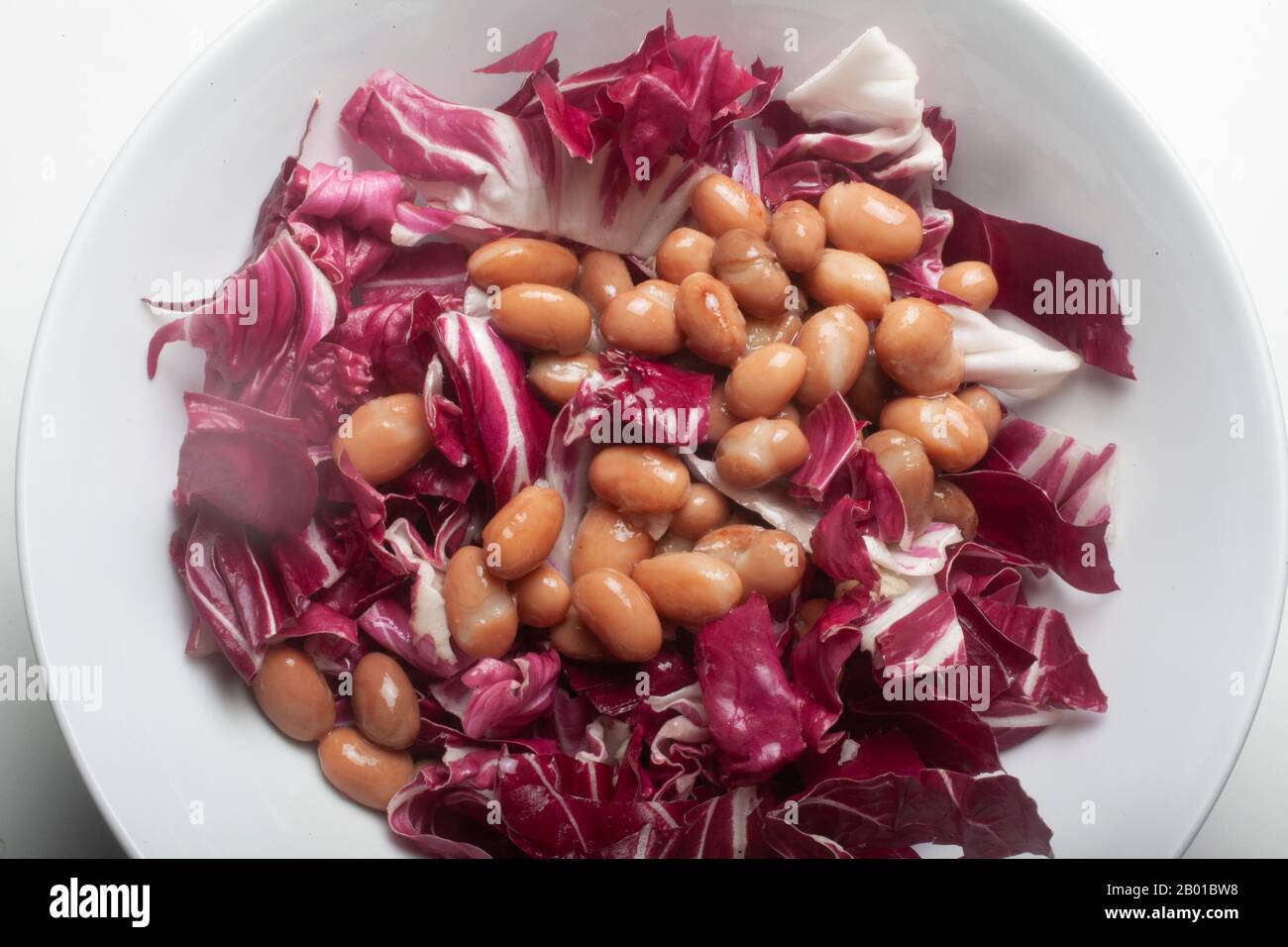 Chicory seed hi-res stock photography and images - Alamy