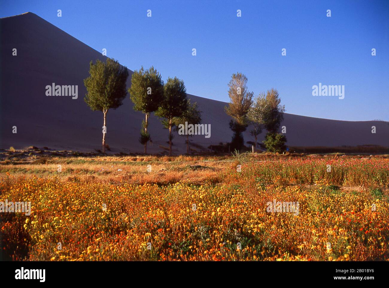 China: The singing sand dunes of Mingsha Shan (Mingsha Hills) in the ...