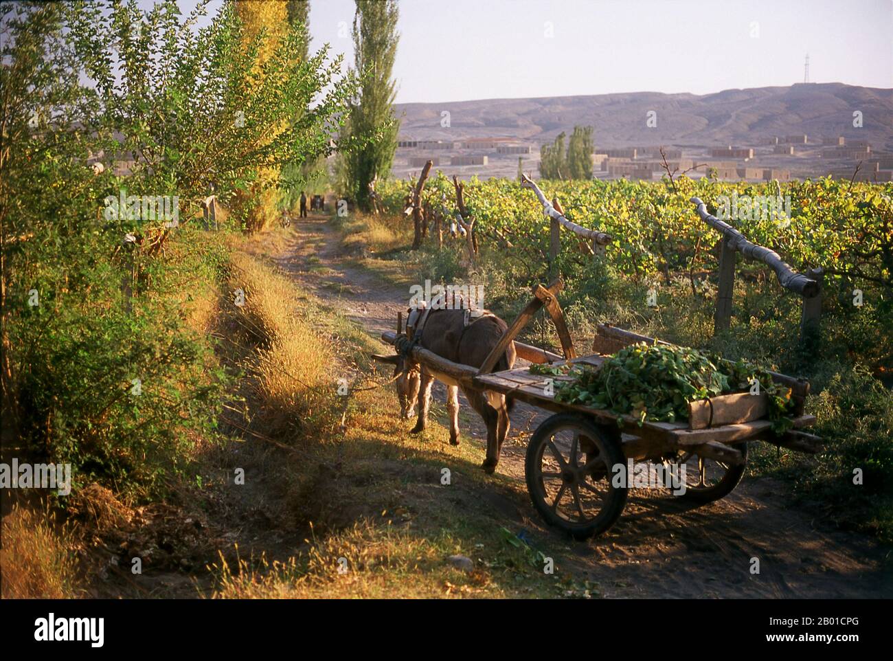 Donkey cart transport hi-res stock photography and images - Alamy