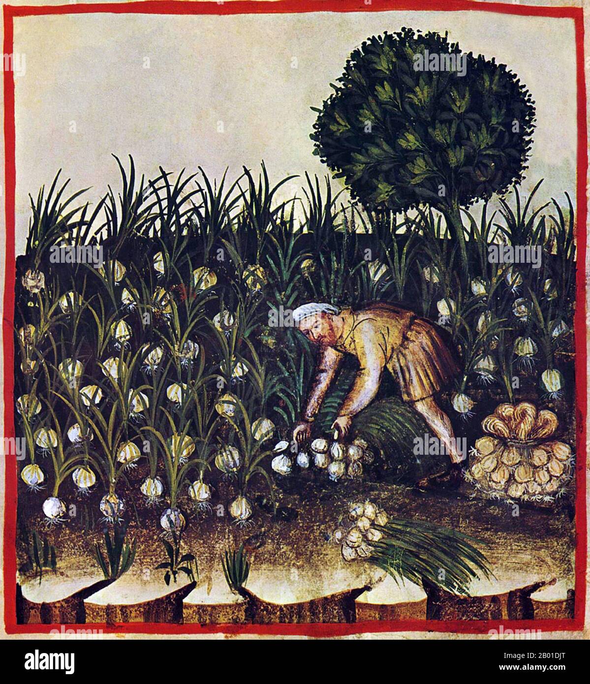 Medieval arab food hi-res stock photography and images - Alamy