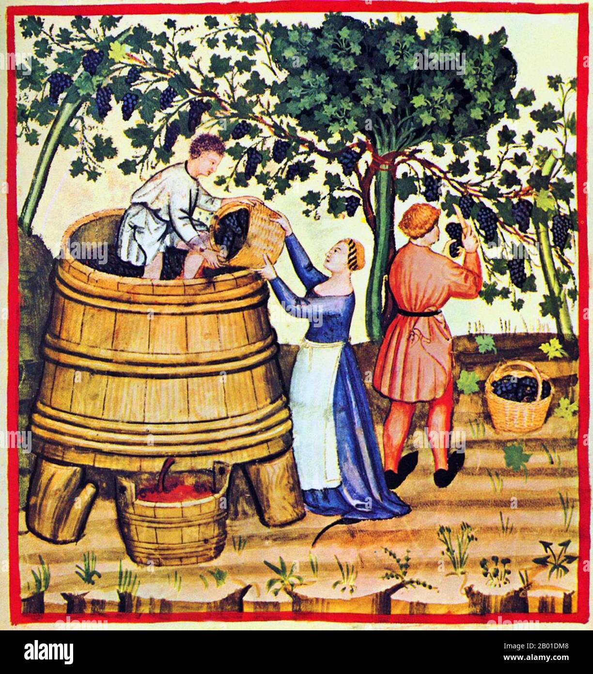 Iraq/Italy: Making red wine. Illustration from Ibn Butlan's Taqwim al ...