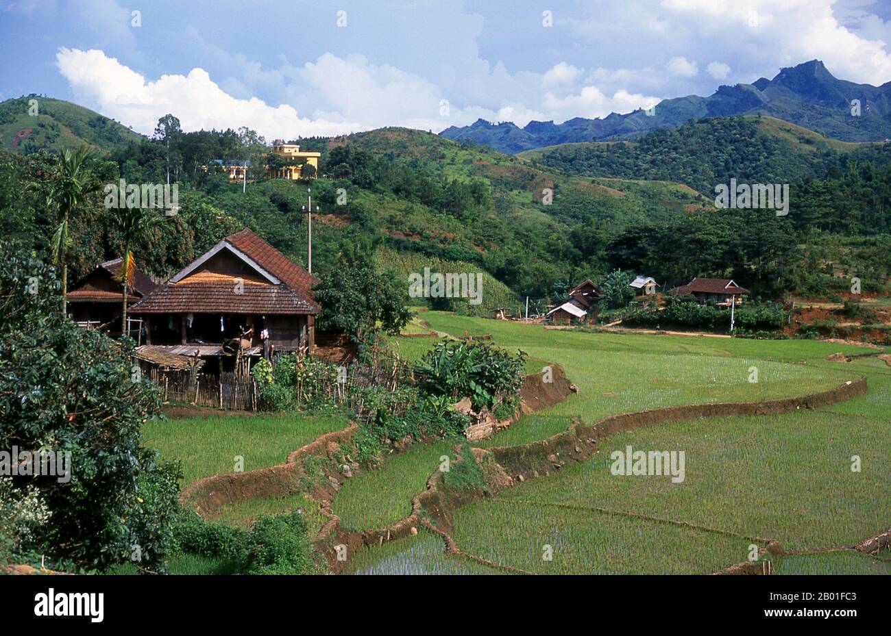 Vietnam: White Tai house and rice paddy, Son La Province, Northwest ...
