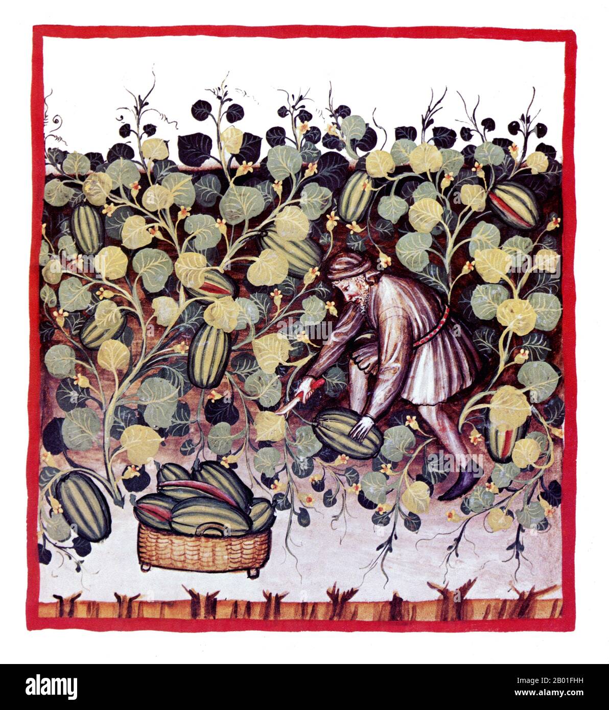 Iraq/Italy: Sweet Melons (Melones Dulces). Illustration from Ibn Butlan ...
