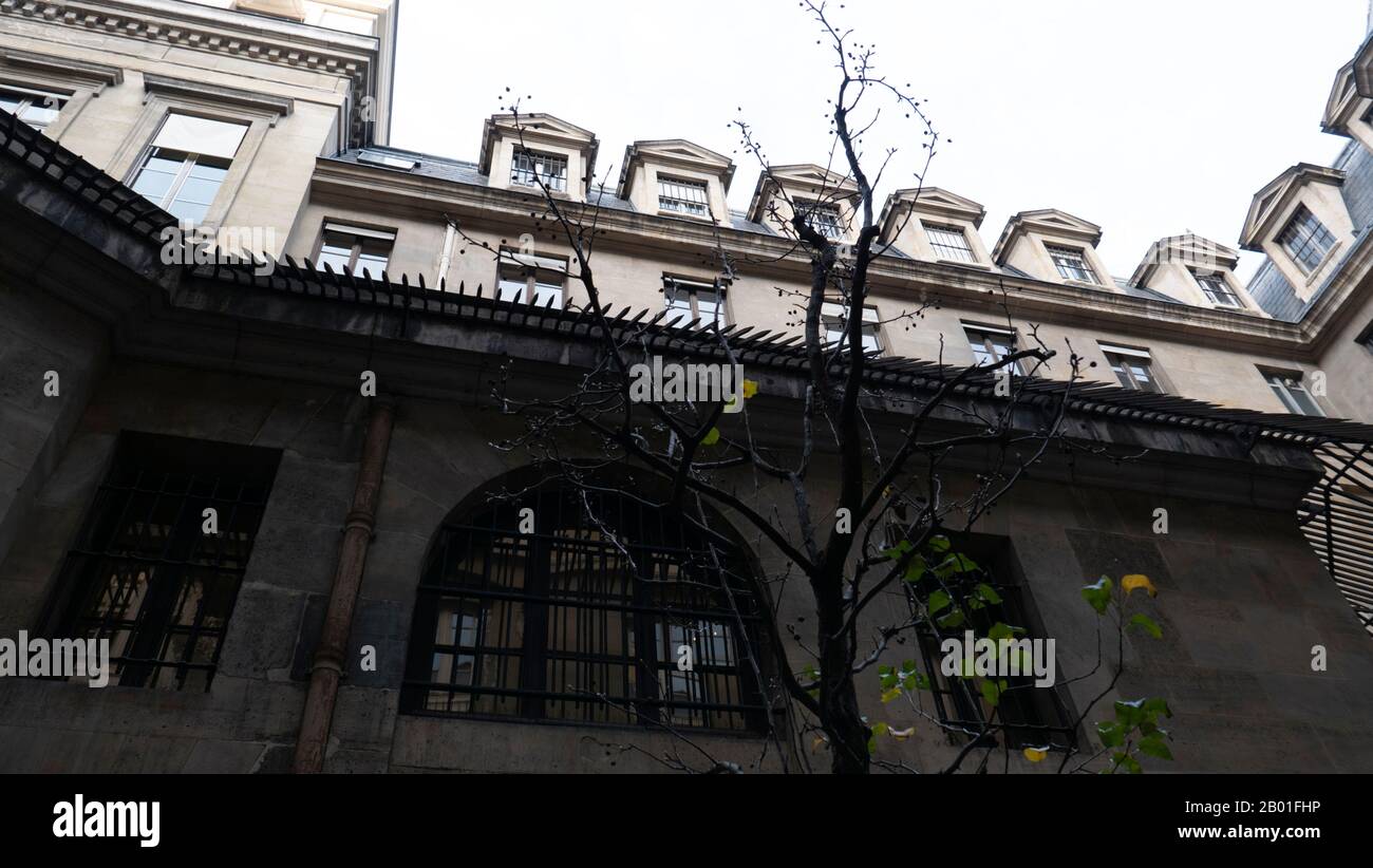 Tree in winter, courtyard, Paris, France Stock Photo - Alamy