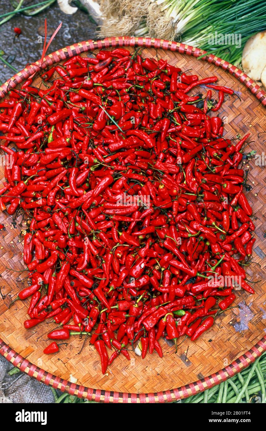 Thai bird’s eye chillies hi-res stock photography and images - Alamy