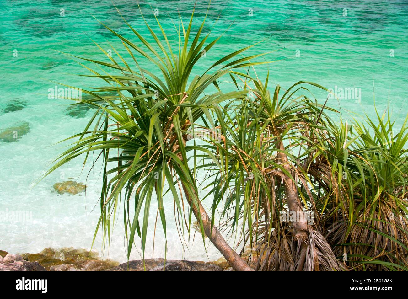 Thailand: Ko Yang, Ko Tarutao Marine National Park. Ko Yang is a tiny ...