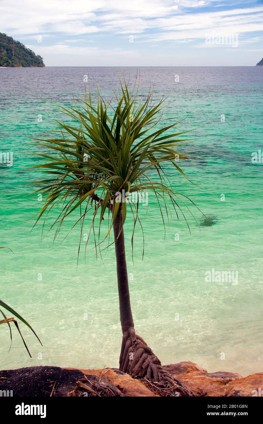 Thailand: Ko Yang, Ko Tarutao Marine National Park. Ko Yang is a tiny ...