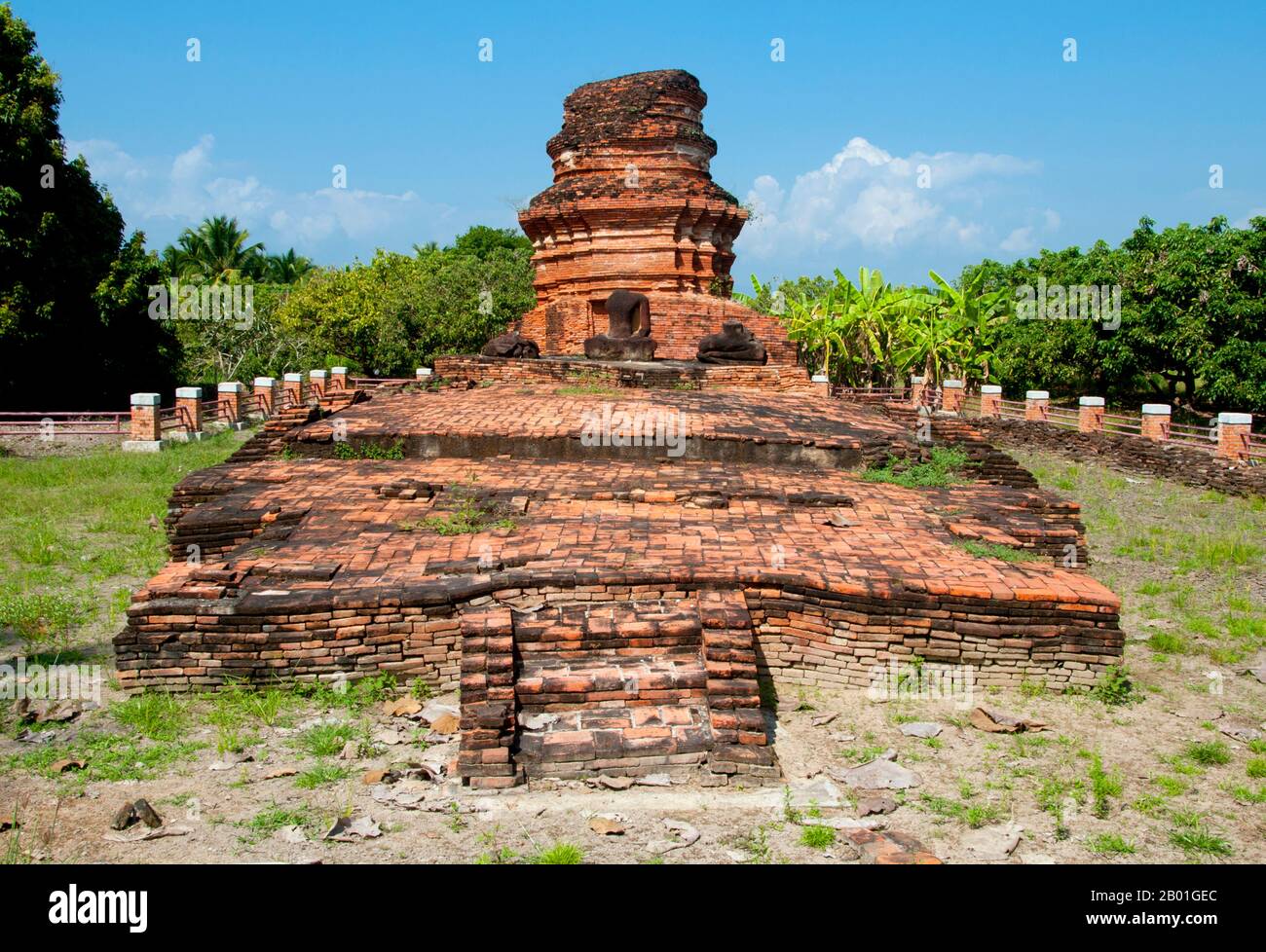 Tai daeng hi-res stock photography and images - Alamy