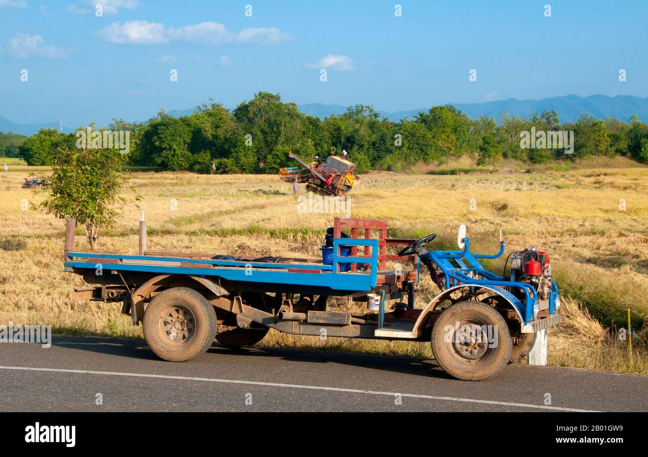 Thailand: Using a combine harvester to bring in the rice crop near Wat ...