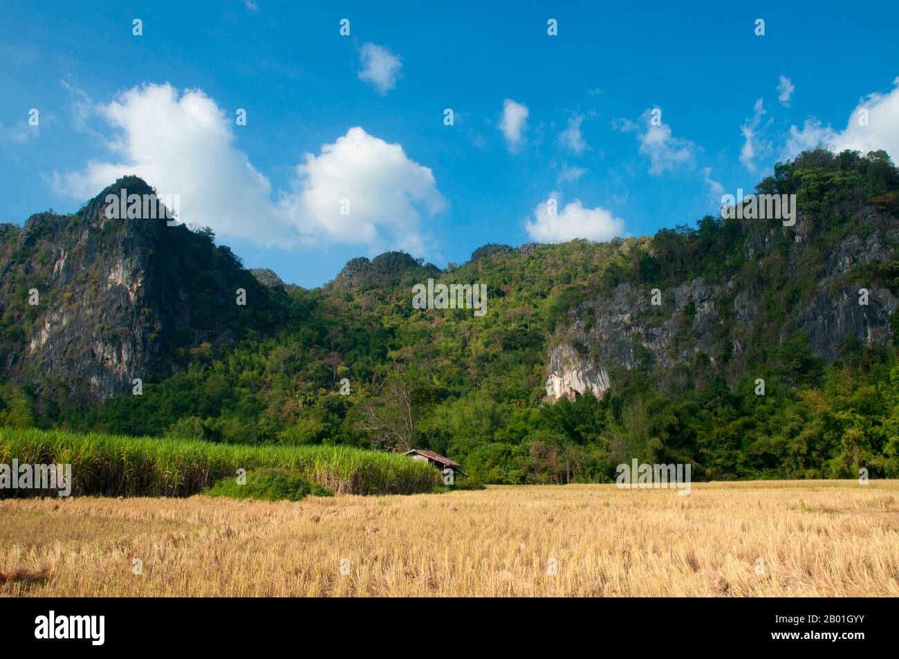 Thailand: Kuan Pha Lom National Park, Loei Province. Loei (Thai: เลย ...
